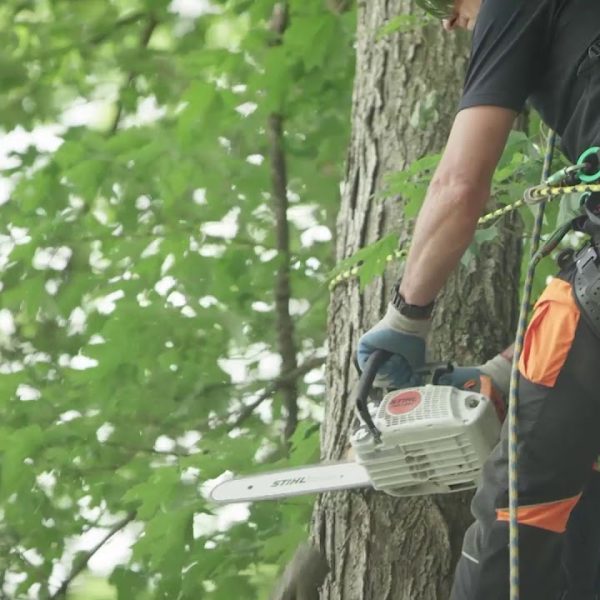 STIHL MS 151 T C E Max s Power Lawn