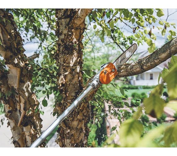 STIHL HT 135 - Max's Power & Lawn