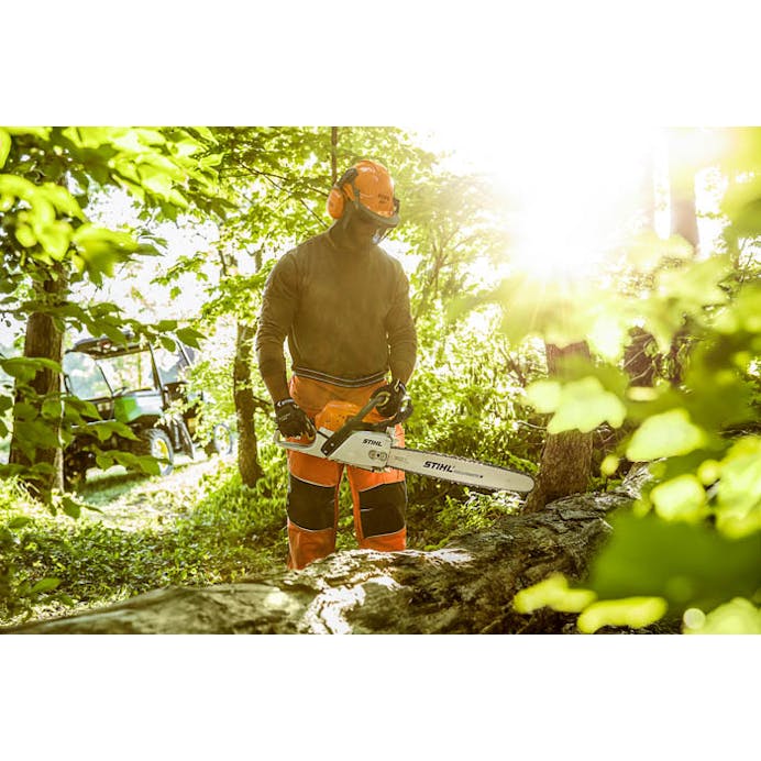 STIHL MS 291 - Max's Power & Lawn